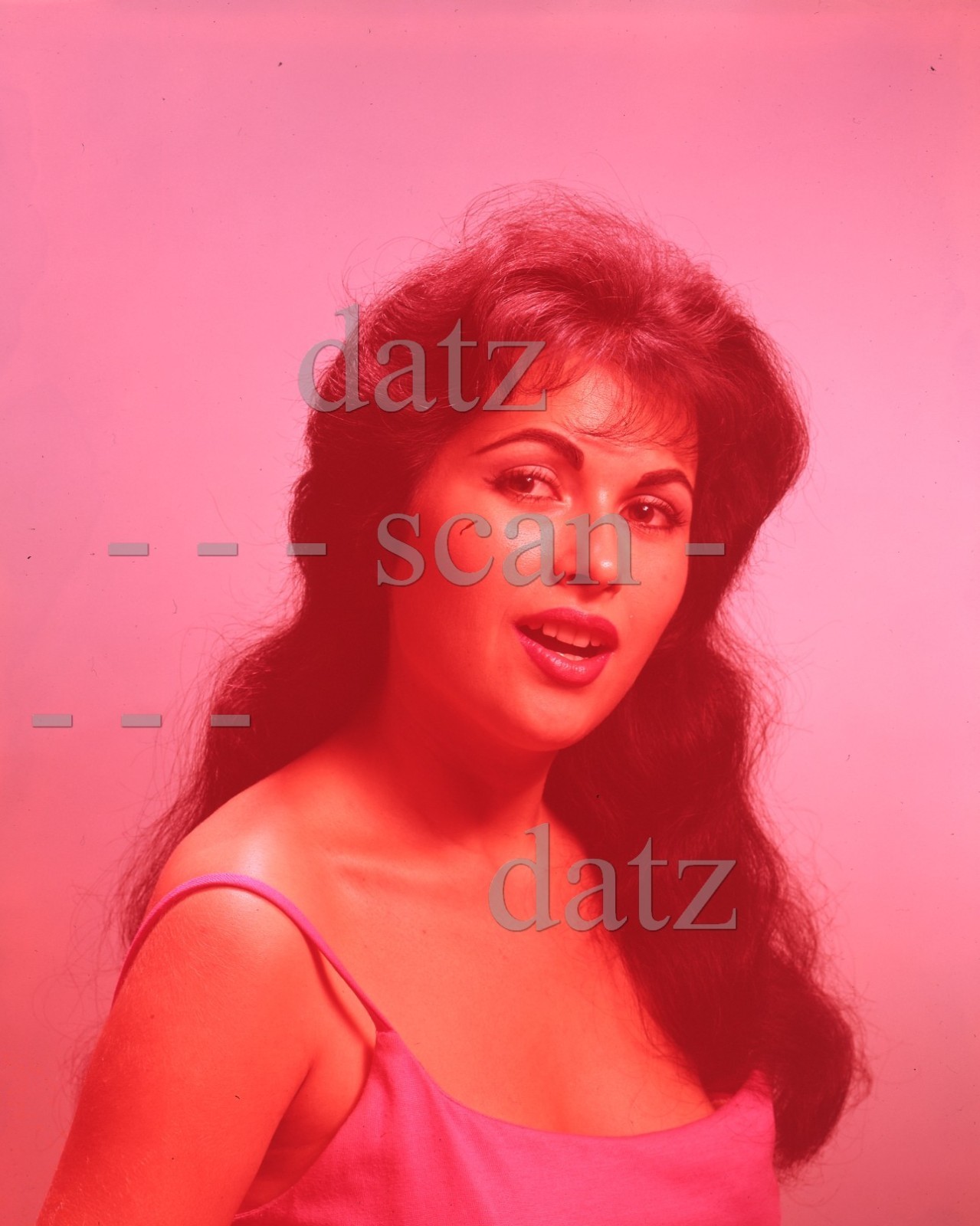 1960s Ron Vogel 4x5 Transparency-sexy pinup girl Ann Morell-cheesecake ...