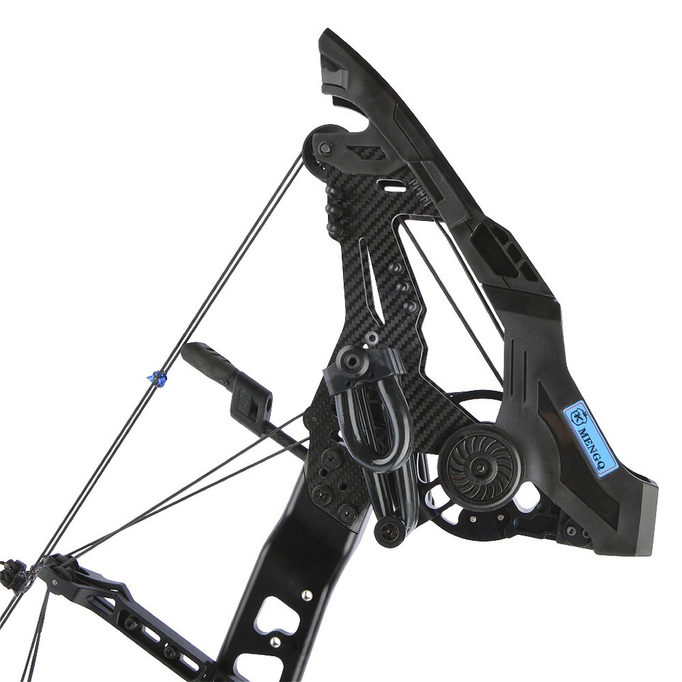 Compound Bow Set Steel Ball Arrows Hunting 21.5lbs-60lbs Dual-use ...