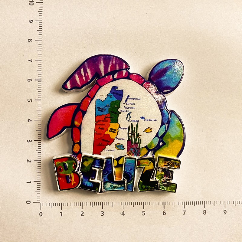 Belize Turtle 3D Fridge Magnet Tourist Souvenir Resin Refrigerator ...