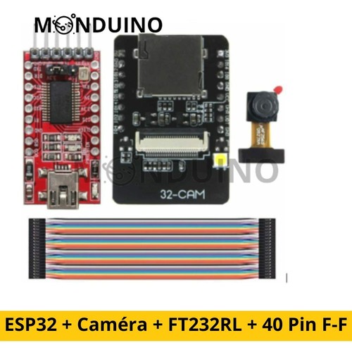 ESP32 CAM + Caméra + Convertisseur FT232RL FTDI USB à TTL Série + 40 ...