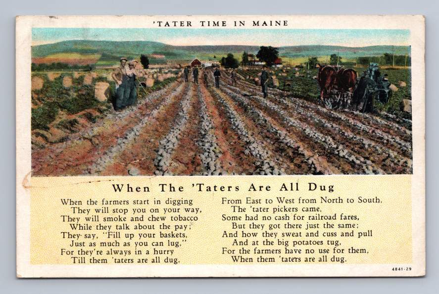 "Tater Time in Maine" Antique Potato Farm Poem Postcard RPO Cancel ...