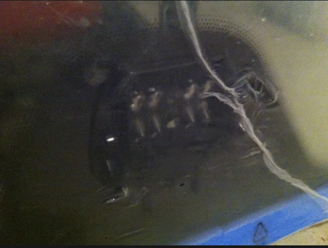 C230 - C240 - W204, 2006 Mercedes Benz Front Windshield With Rain ...