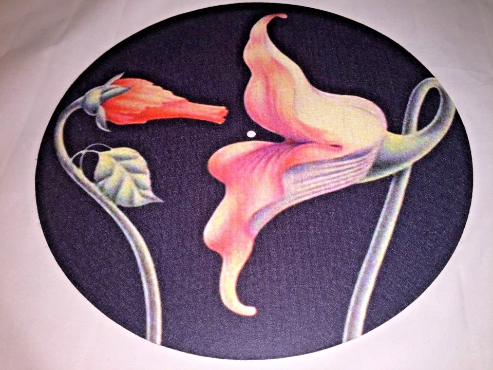 Pink Floyd Flowers The Wall Slipmat 12" LP Scratch Pad Slip Mat DJ ...