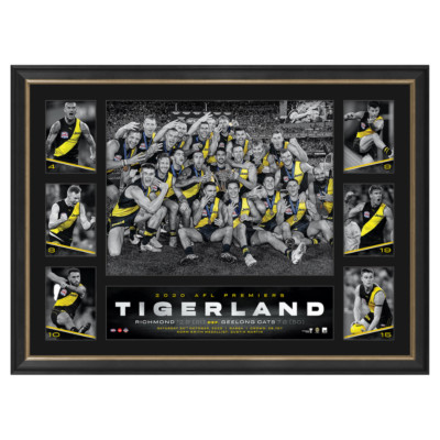 RICHMOND TIGERS 2020 PREMIERS FRAMED POSTER MARTIN COTCHIN AFL ...