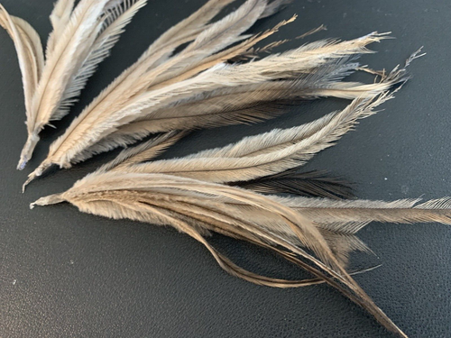 Natural Emu Feather Pincher Charms Findings DIY Craft Jewellery ...