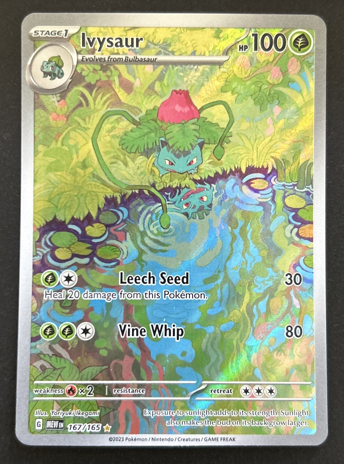 Ivysaur 167/165 Scarlet & Violet 151 Illustration Rare Holo Pokemon TCG ...