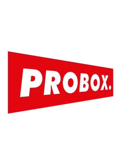 357. Free Shipping PROBOX Cutting Sticker Sticker New Decal | eBay