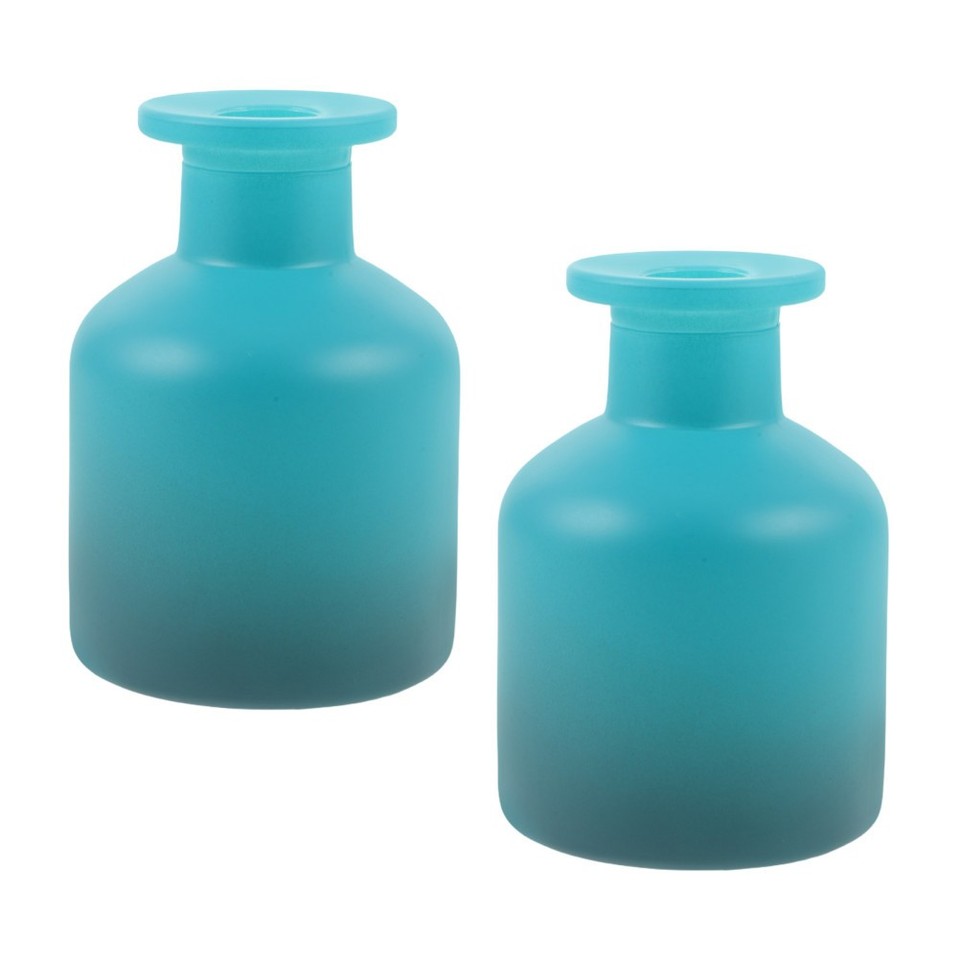 2 Pcs Glass Jar for Reed Sticks Diffuser Empty Bottle Aromatherapy ...