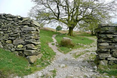 Photo 6x4 Path towards Low Pike Ambleside Part way up the climb to Low ...