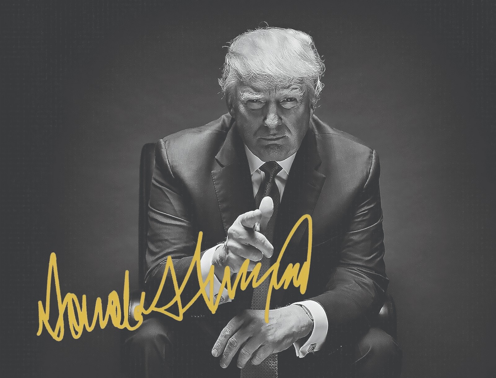 PRESIDENT DONALD TRUMP 8.5X11 SIGNED PHOTO PONITING ORIGINAL AUTOGRAPH ...