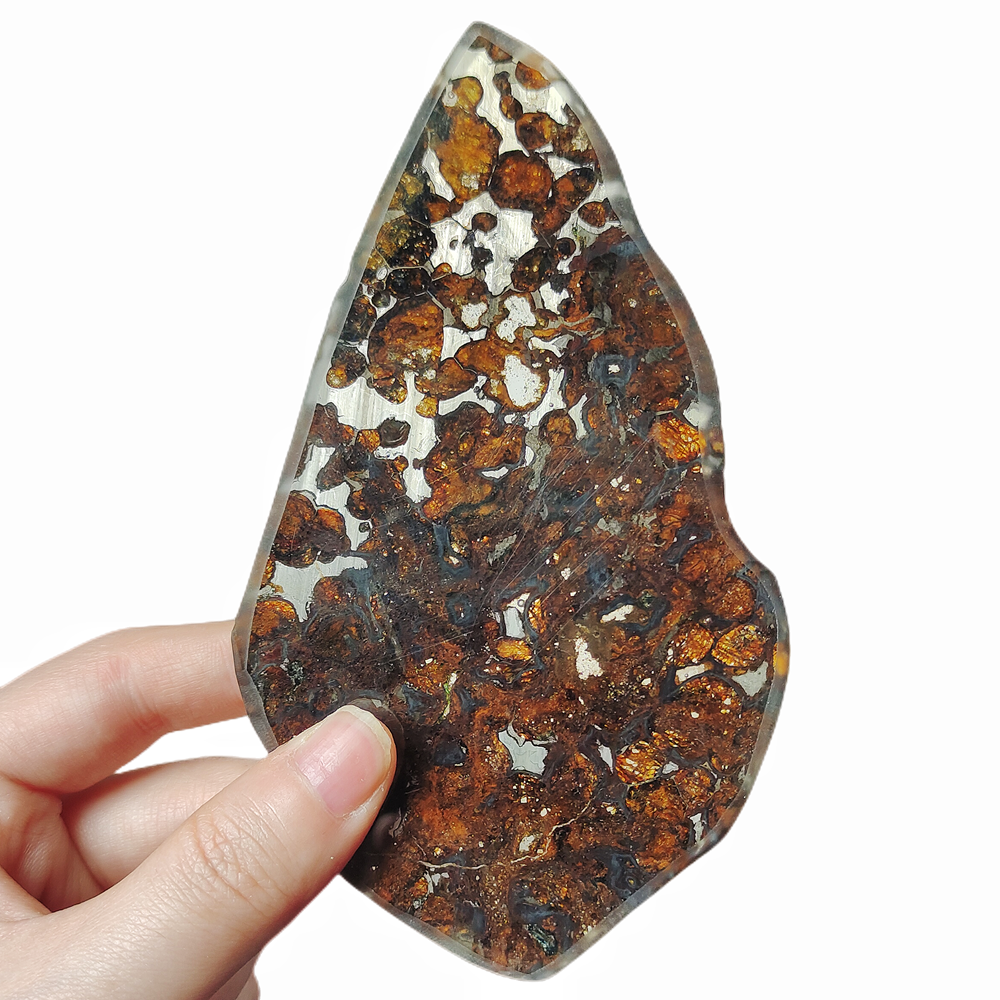 Kenya Olive Meteorite Slice High-Quality Olive Meteorite Specimen-TA146 ...