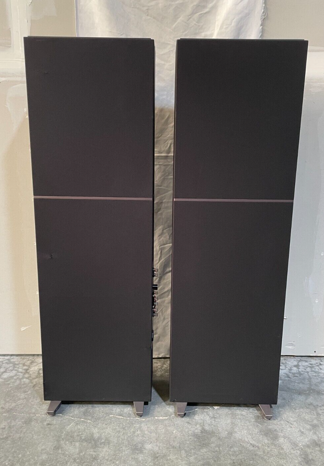 Definitive Technology Dymension DM80 Floor-standing Bipolar Tower ...