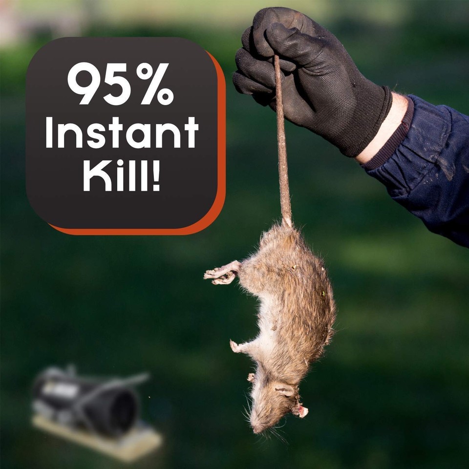 Squirrel Traps Outdoor - Squirrel Traps - Ouell Traps - Trap for ...