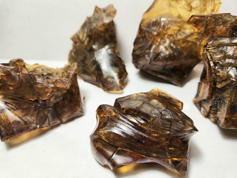 5 pcs. Raw Unpolished Petrified Amber Fossilized Tree Sap | eBay