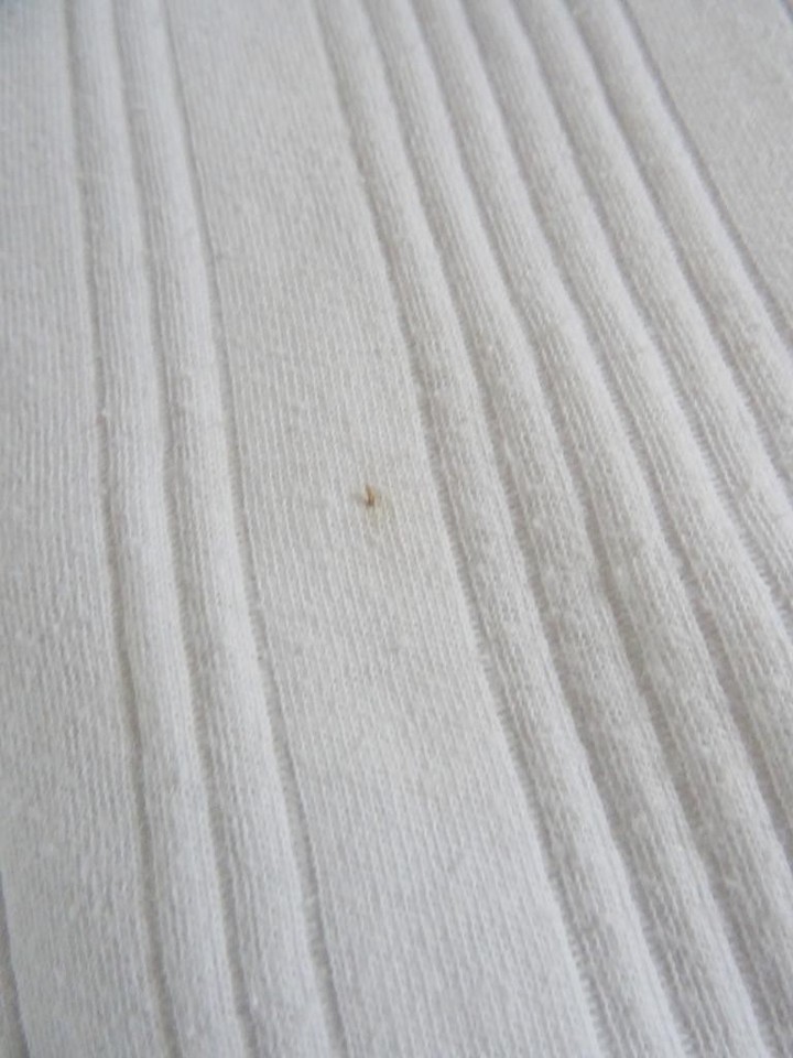 Vintage Directoire Knickers Panties 1960s White Ribbed Cotton Ladies 32 ...