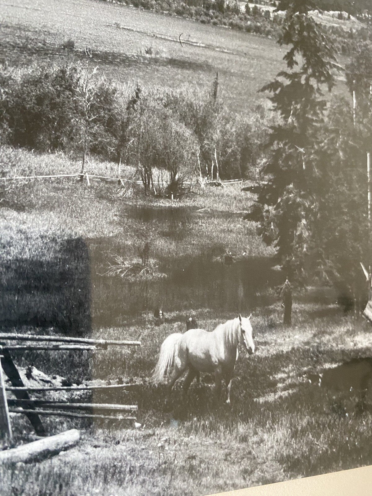 1976 Original SIGNED BOB WERLING "Thunderstorm Canada" Photograph ...