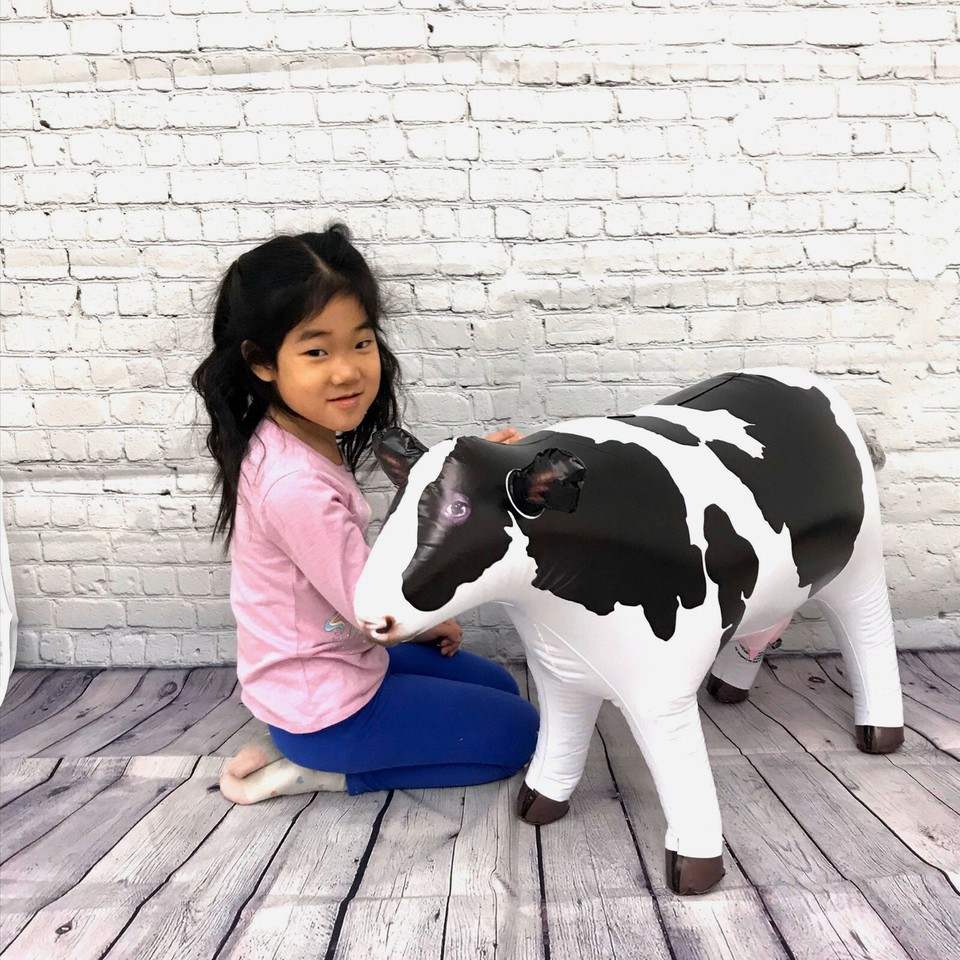 Jet Creations Cow Inflatable Animal Baby 37 inch Long Great for Pool ...
