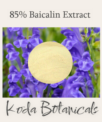 BAIKAL SKULLCAP 85% baicalin EXTRACT POWDER Scutellaria baicalensis | eBay