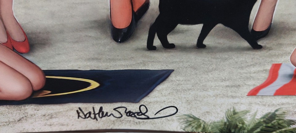 Nathan Szerdy SIGNED Women of DC Print Harley Quinn Catwoman Wonder ...