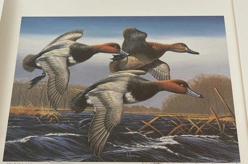 RW54 1987 Federal Duck Stamp Print by Arthur Anderson | eBay