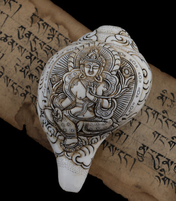 Conch White Tibetan Deity Tara Green Instrument Music Tibet 27049 | eBay