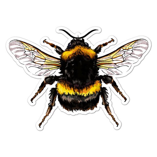 Bumble Bee, Vinyl Decal Sticker, Indoor Outdoor, 3 Sizes, #8639 | eBay