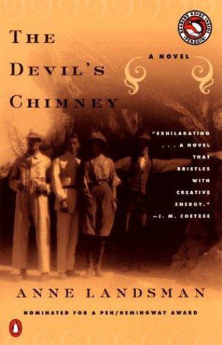 The Devil's Chimney by Landsman, Anne 9780140277463| eBay