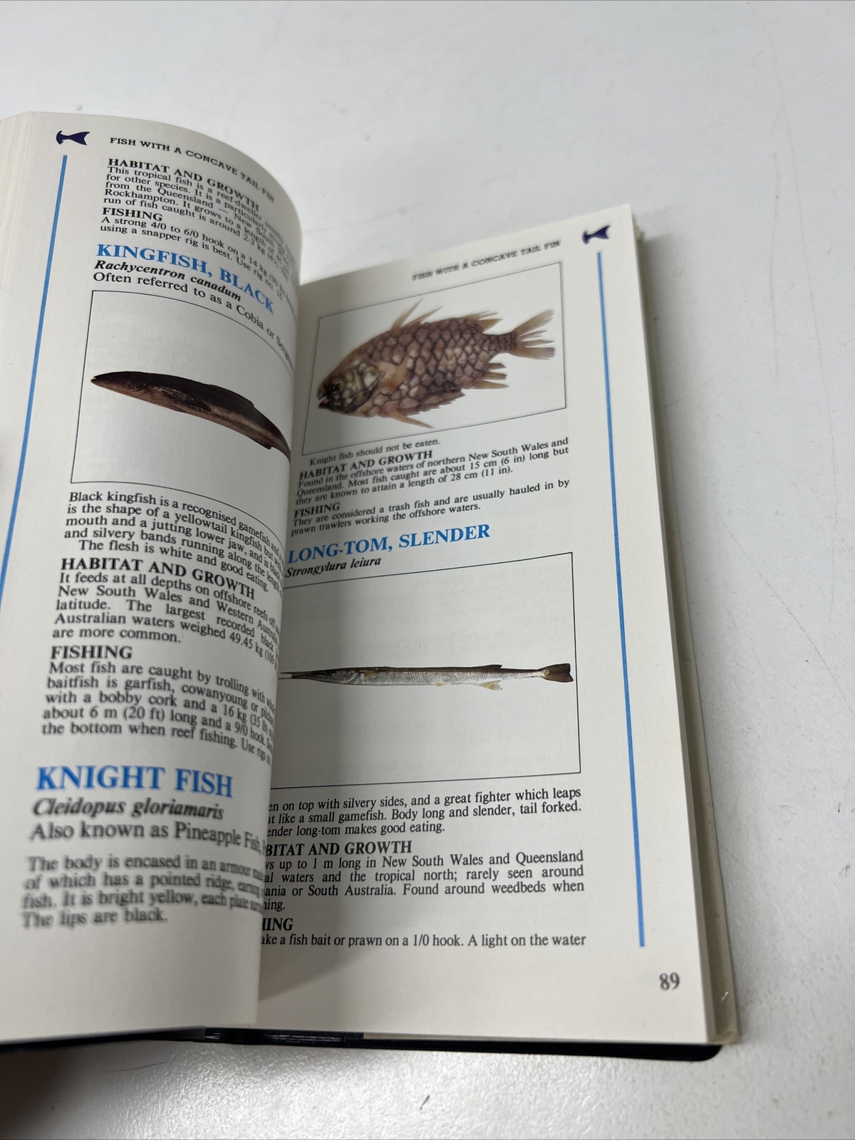 VINTAGE BOOK THE AUSTRALIAN FISHERMANS COMPANION VAUGHAN 1982 FISHING ...