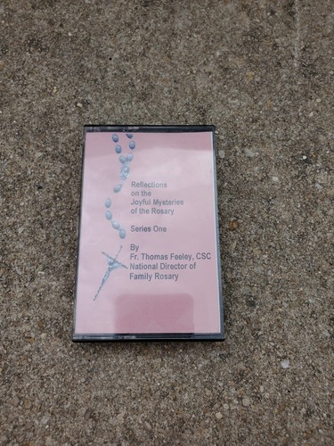 Reflections the Joyful Mysteries Rosary Series 1 Fr. Thomas Feeley ...