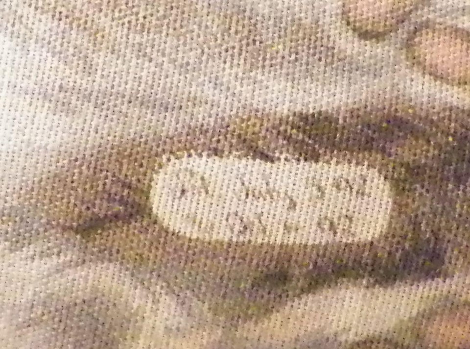 Tabby Cat Cloth Toy Doll Stuffed Arnold Print Works 1892 Antique Large ...