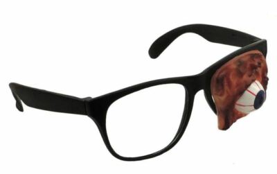Zombie One Eye - Glasses Fancy Dress Halloween Black Frame One Eye ...