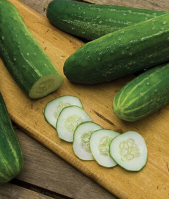 Cucumber Straight Eight, Heirloom, NON-GMO, 25 Cucumber Seeds, Straight ...