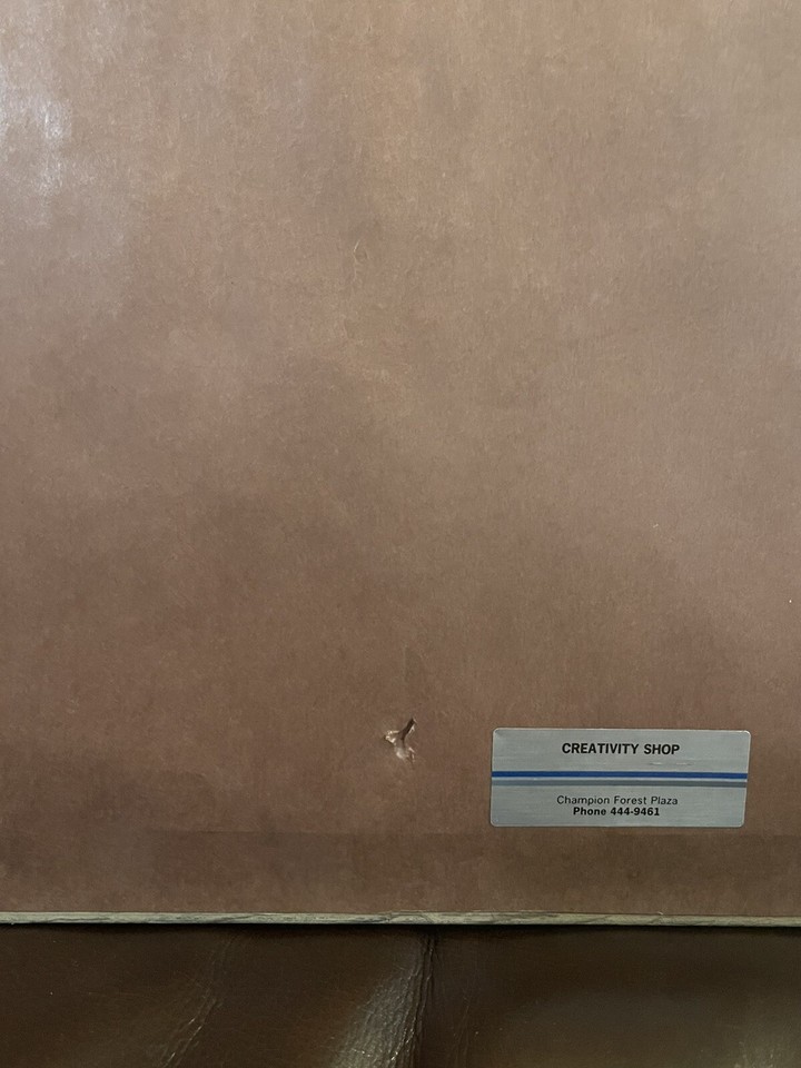 Phil Scholer 1983 Federal Duck Stamp Print Gold Medallion W Double ...