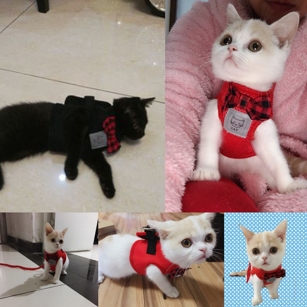 Kitten Harness and Leash Safety Cat Walking Jacket Kitty Vest Free ...