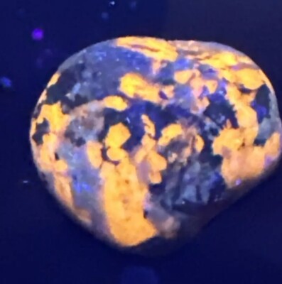 FLUORESCENT SODALITE ROCK FROM LAKE ONTARIO IN NEW YORK! FREE DOMESTIC ...
