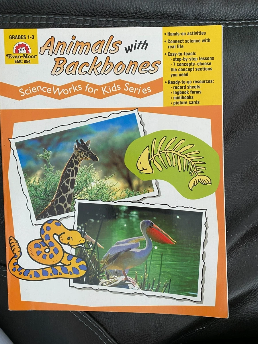 Animals Without Backbones Book