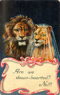 Anthropomorphic Lions Get Married Are We Downhearted? No! The Wedding ...