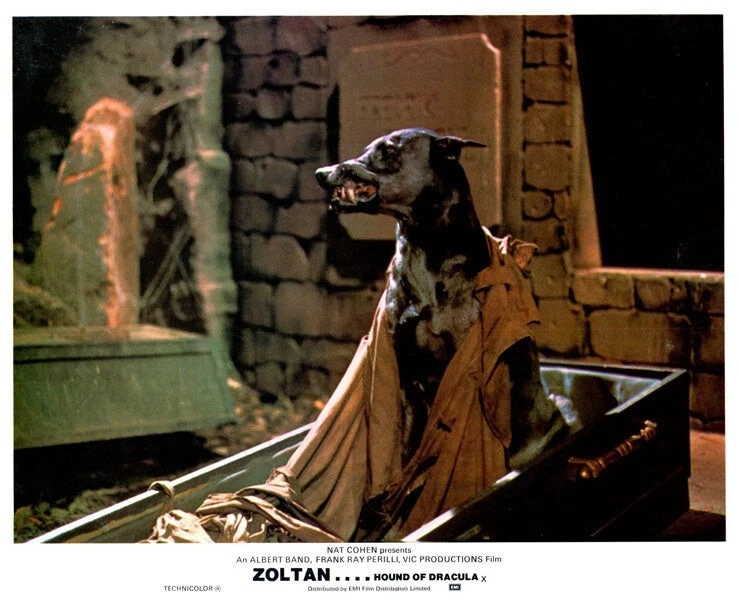 Vampire Dog Full Movie