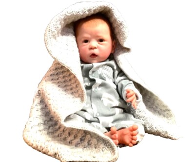 ADORABLE LIFE LIKE REBORN IRISH BABY BOY DOLL RED HEAD BROWN EYES 5lbs ...