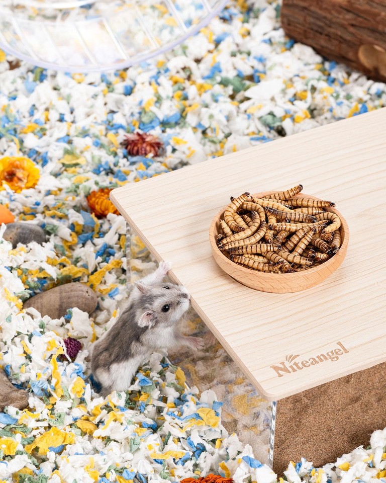 Small Animal Snack & Treats - Small Critter Natural Treat for Dwarf ...