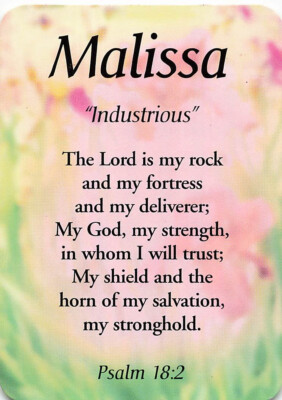 Malissa "Industrious" Keepsake Name Meaning Card with Verse | eBay