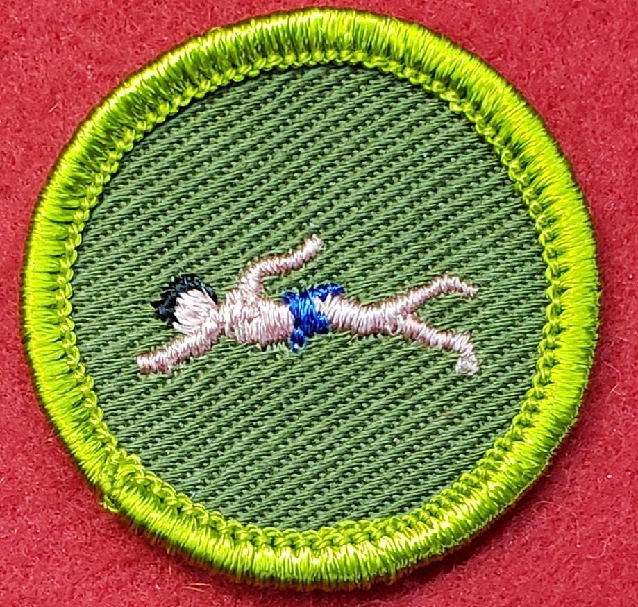 BSA Swimming Merit Badge - Type F - Boy Scouts of America | eBay