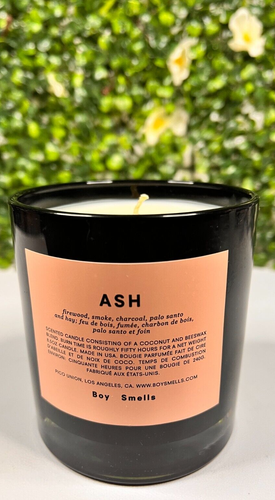 ASH Boy Smells Scented Candle Firewood Smoke 8.5 Oz/240 g (NEW, UNBOXED ...