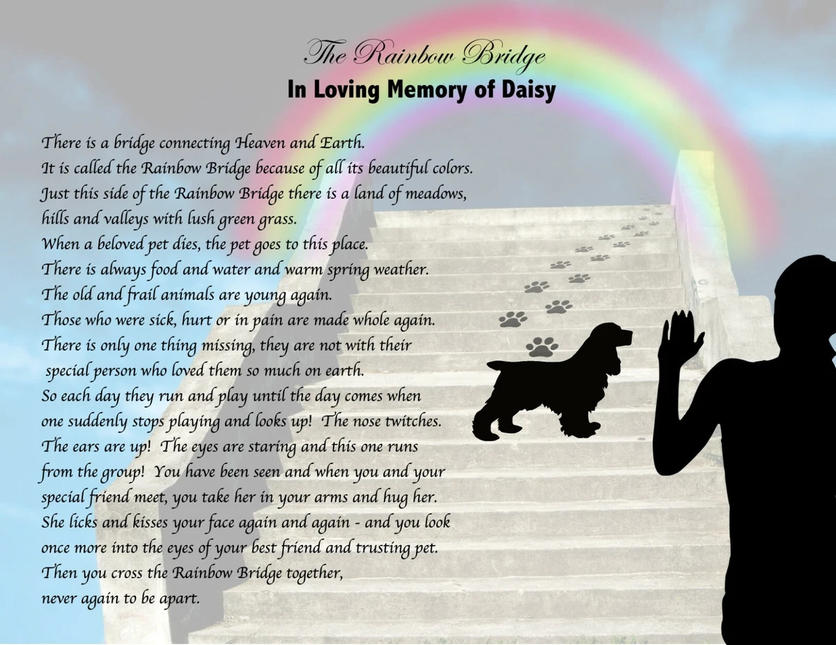Rainbow Bridge Poem For Birds