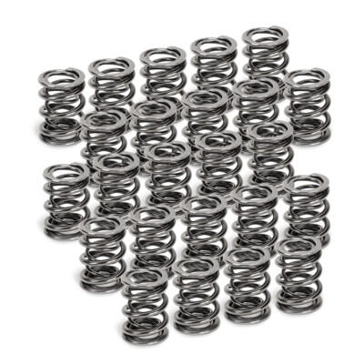 SuperTech Dual Valve Spring Set For BMW M54 / M52 / M50 / S50 - SPR ...