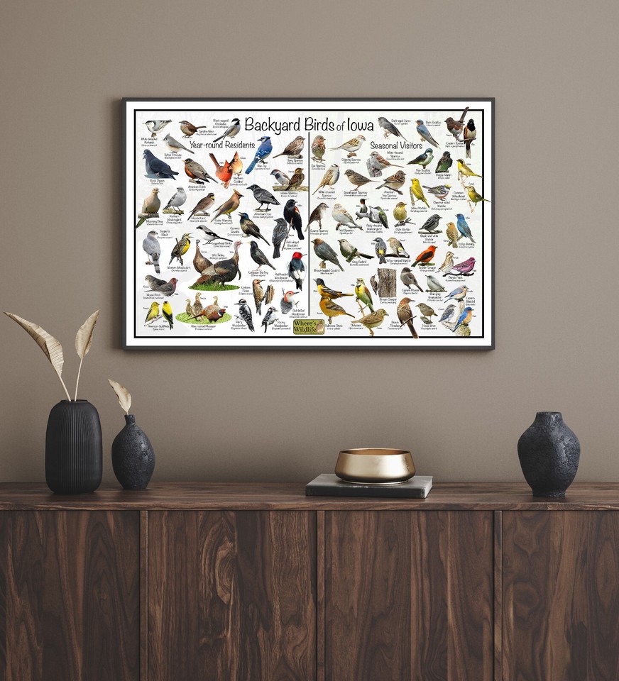 Backyard Birds of Iowa Bird Identification Nature Poster / Quick Easy ...