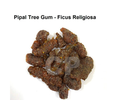 Peepal Lakh Pipal Tree Gum Ficus Religiosa Sacred Fig Ficus Lac 100gm ...