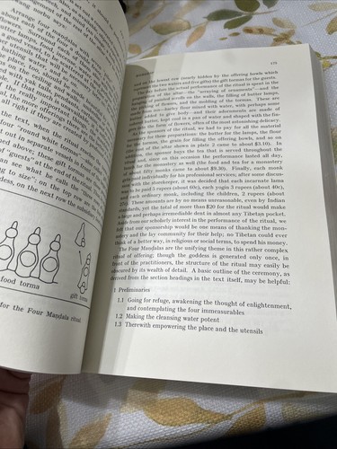 The Cult of Tara: Magic and Ritual in Paperback, by Stephan Beyer First ...