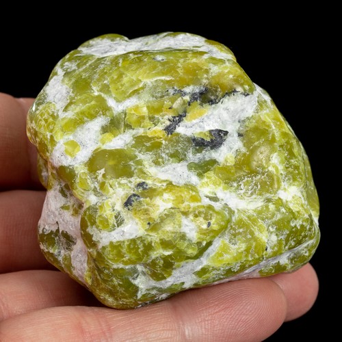 Green LIZARDITE polished crystal palm stone 6.28 oz specimen #3834T ...
