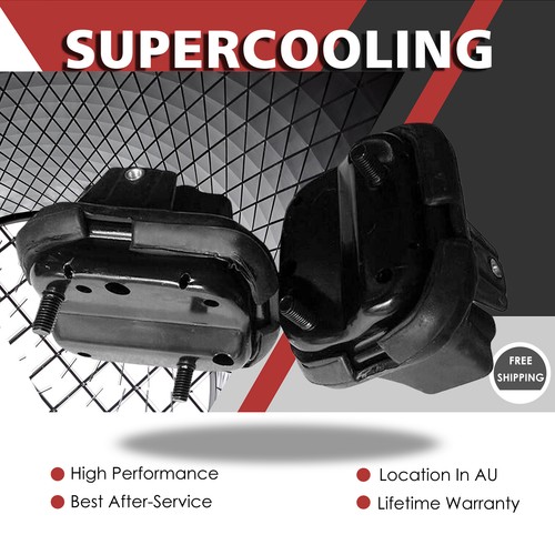 2X Engine Mounts For Commodore VN VP VR VS VX VY VT 3.8L V6 Front ...